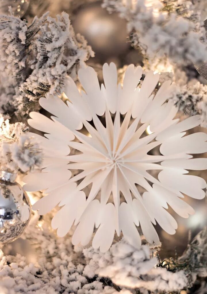 13+ Best Winter Decorations DIY that you will love - From Lemons To Luxury