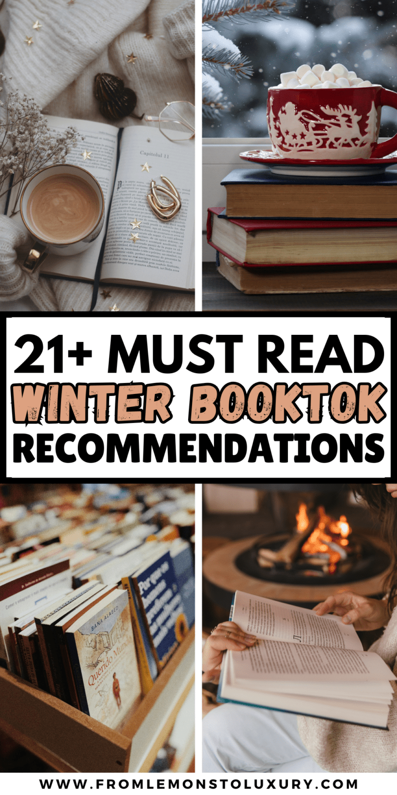 21+ Best Winter Booktok Recommendations To Read - From Lemons To Luxury
