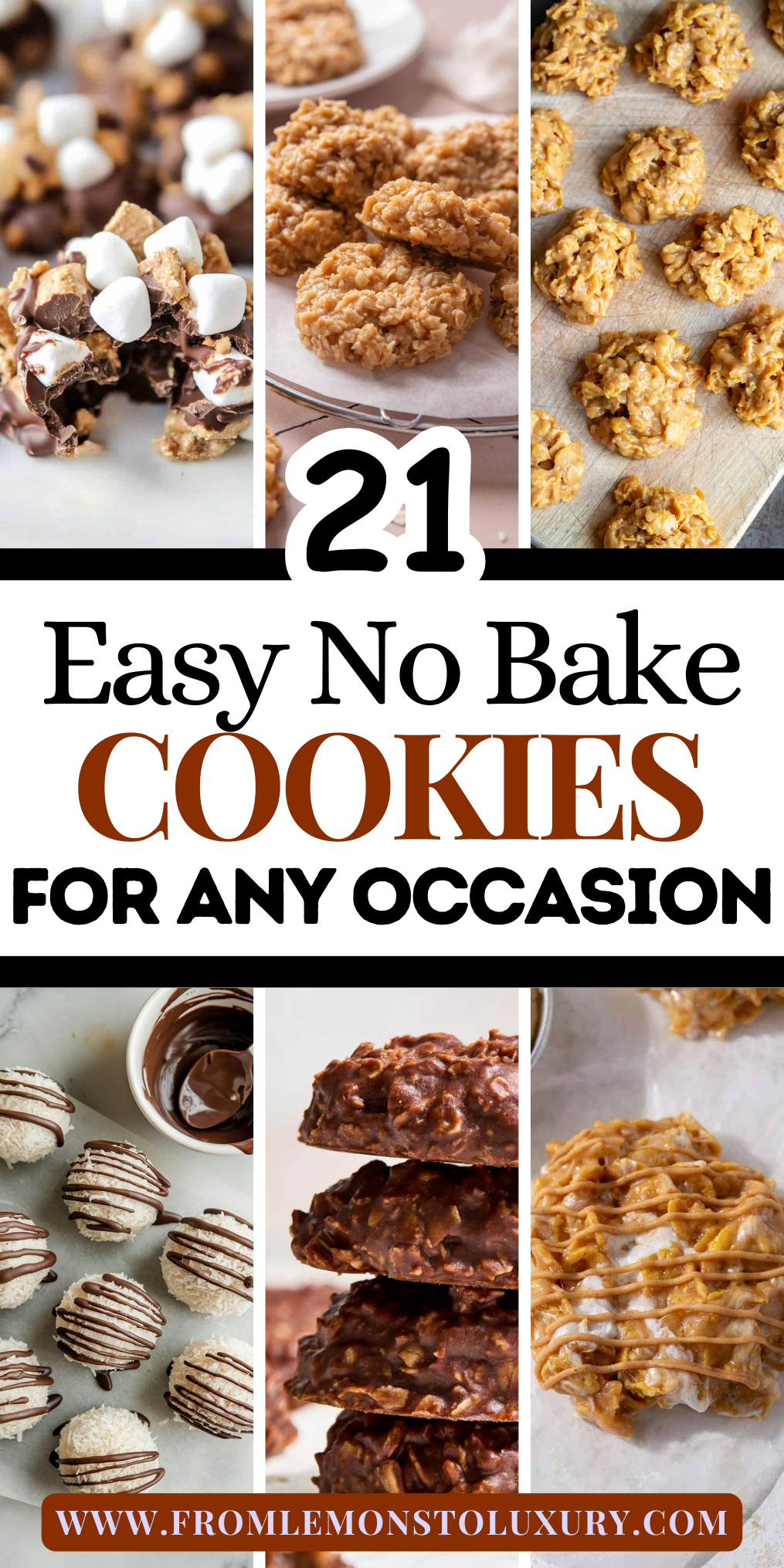 21+ Quick and Easy No Bake Cookies You Can Make Anytime - From Lemons ...